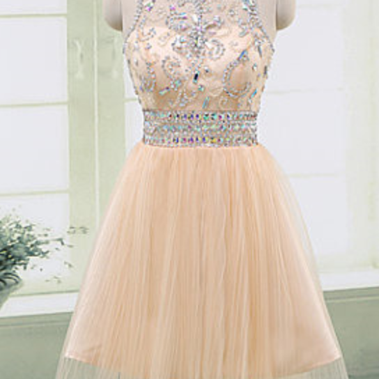 Heavy Rhinestones Crystal See Through Back Short Homecoming Dresses ...